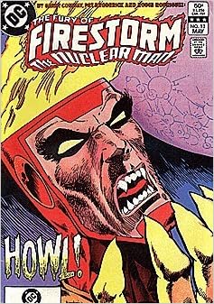 Amazon.com: Firestorm (1982 series) #12: DC Comics: Books