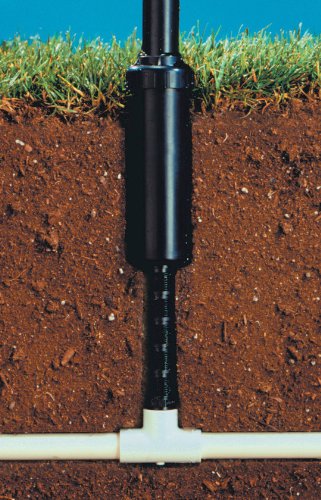 Rain Bird RISERCO6 1/2-Inch x 6-Inch PVC Sprinkler Head Cut-Off Riser ...