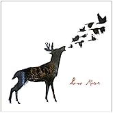 Low Roar - Ross. - Amazon.com Music