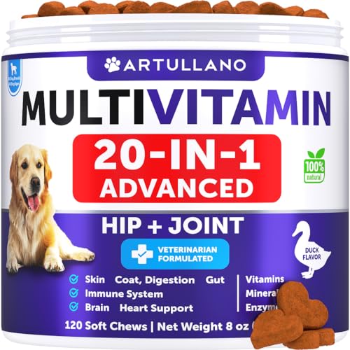 The Best Dog Multivitamins In 2024 - Dogtime