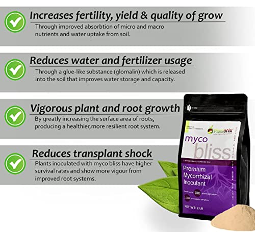 Myco Bliss - Mycorrhizal Inoculant for Plants - 5 Superior Strains ...
