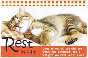 Amazon.com : Universal Designs Uplifting Christian Inspirational Pass ...