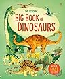 First Facts Dinosaurs: Amazon.co.uk: DK: 9781409375753: Books