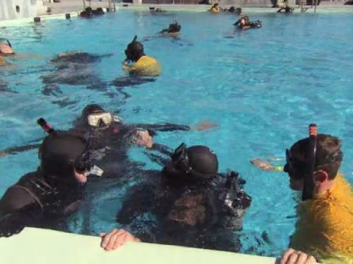 Watch Surviving the Cut Season 2 | Prime Video