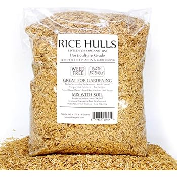 Amazon.com: Rice Hulls - Organic Use – 1.5lb Bag - House Plants ...