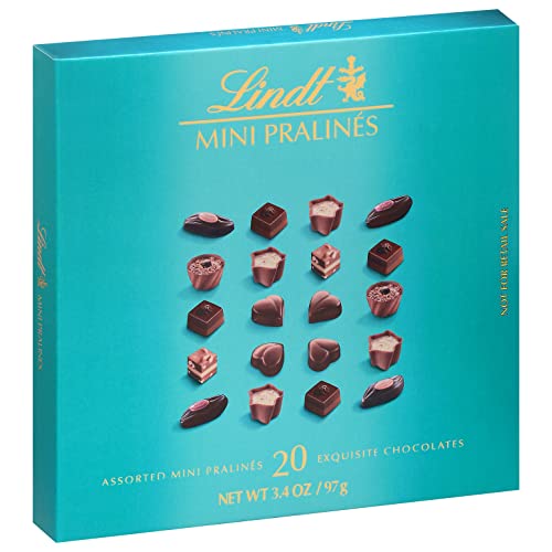 Lindt Mini Pralines, Assorted Chocolate Pralines with Premium Filling ...