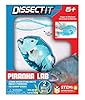 Dissect-It Simulated Synthetic Lab Dissection Toy, STEM Projects for ...