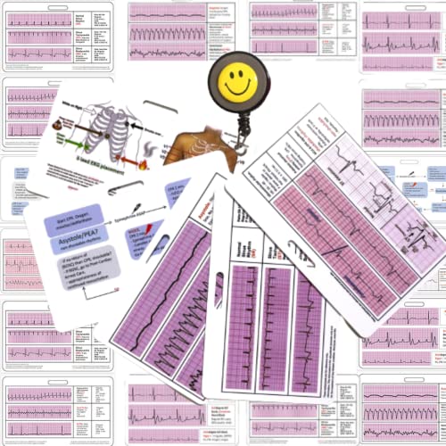 EKG Nursing Badge Buddy CPR, ACLS, BLS, Code Blue Reference Badge Card ...