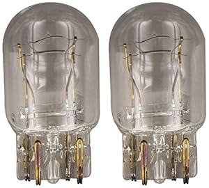 Philips Vision W21/5W 12066B2 Indicator Bulbs Pack of 2 in Blister Pack ...