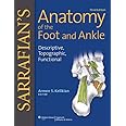 Sarrafian's Anatomy of the Foot and Ankle: Descriptive, Topographic, Functional: 9780781797504 ...