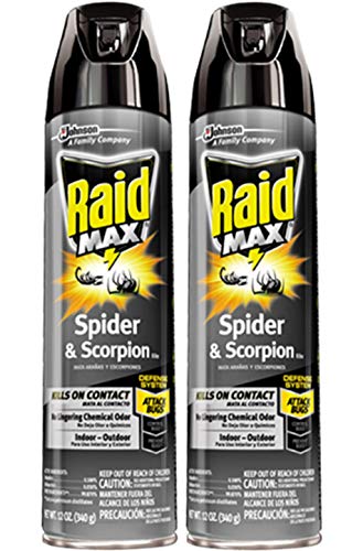 Best Spider & Scorpion Repellent for Patio