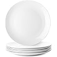 Amazon.com | Brew To A Tea White Porcelain Dinner Plates, Set of 6, 10. ...