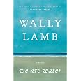 Amazon.com: We Are Water: A Novel: 9780061941023: Lamb, Wally: Books
