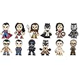 Amazon.com: Funko 11346 Mystery Mini Blind Box: DC Heroes & Pets (1 ...