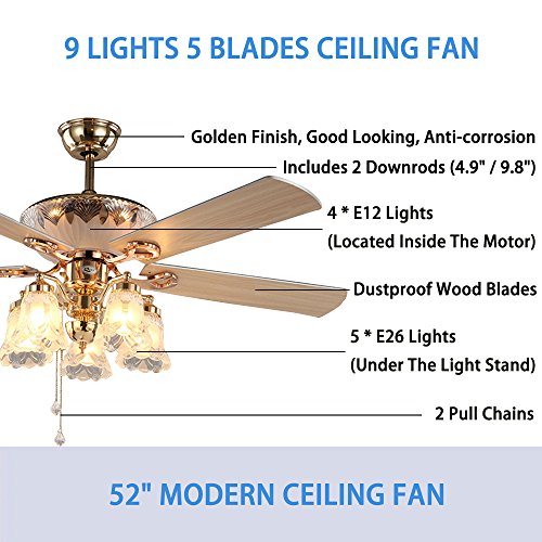 Modern Ceiling Fan with 5 Reversible Blades 5 Frosted Light Kit and ...