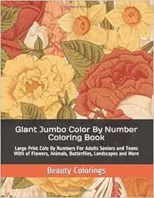 Amazon.com: Giant Jumbo Color By Number Coloring Book: Large Print Colo ...