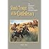 Amazon.com: Sharpshooting in the Civil War (9781581607031): Major John ...