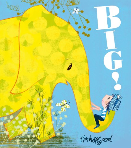 Big!: Tim Hopgood: 9780552564878: Amazon.com: Books