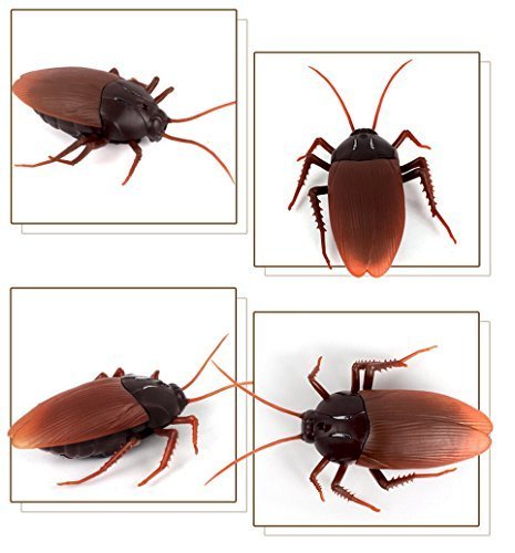 Купить Sandistore Infrared Remote Control Realistic Fake Cockroach RC ...