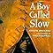A Boy Called Slow (Paperstar Book): Bruchac, Joseph: 9780698116160 ...