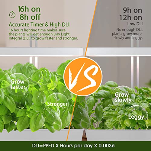 GrowLED LED Indoor Garden, Herb Garden, Kitchen Garden, Height ...