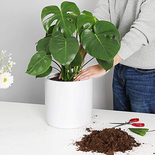 SONGMICS Ceramic Plant Pot, 10-Inch Planter, Flower Pot with Drainage ...