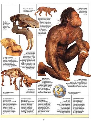 DK Eyewitness Bks.: Prehistoric Life by Dorling Kindersley Publishing ...