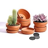 Amazon.com: Small Shallow Terracotta Pot for Succulent - 6 Pcs Clay ...