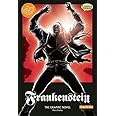 Frankenstein: The Graphic Novel (American English, Original Text ...