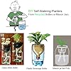 ORIMERC 300 feet 1/6 inch Self Watering Capillary Wick Cord Vacation ...