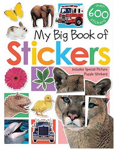 My Big Book Of Stickers: 9781843322474: Amazon.com: Books
