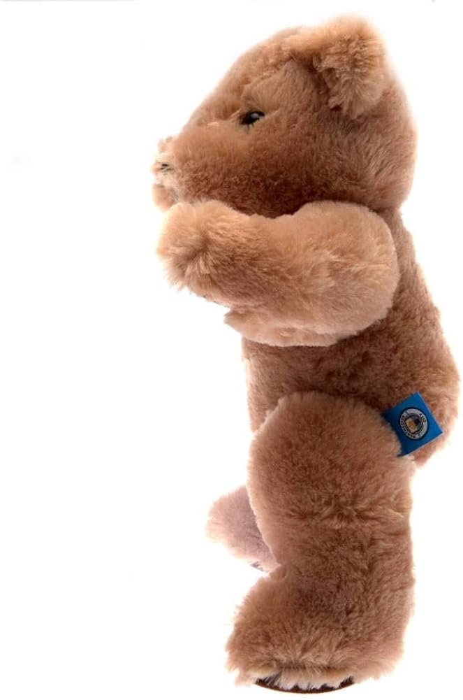 Manchester City F. C. George Bear – BigaMart