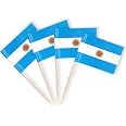 Amazon.com | Argentina Flag Argentine Flag, Small Mini Argentina ...