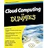 It Architecture for Dummies (R): Amazon.co.uk: Kalani Kirk Hausman, Susan L. Cook: 9780470554234 ...