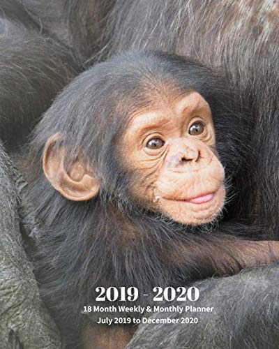 Download 2019 - 2020 | 18 Month Weekly & Monthly Planner July 2019 to ...