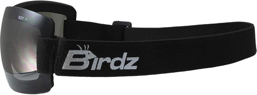 Birdz Eyewear Wren Sport Skydiving Snowboarding Motorcycle Riding ...