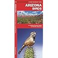 Arizona Birds (Wildlife and Nature Identification): Kavanagh, James ...