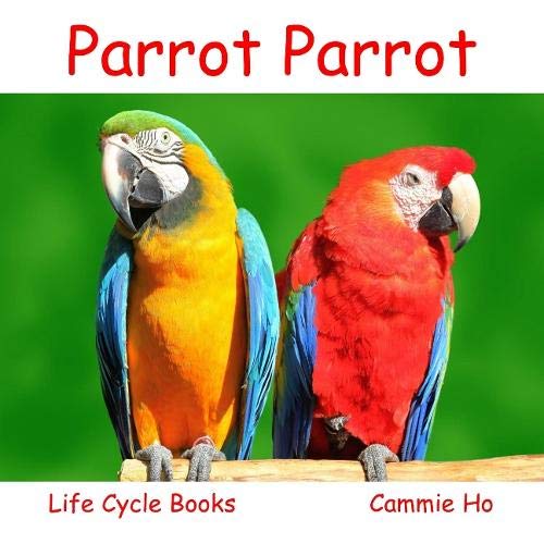 Parrot Parrot (Life Cycle Books): Ho, Cammie: 9781943241040: Amazon.com ...