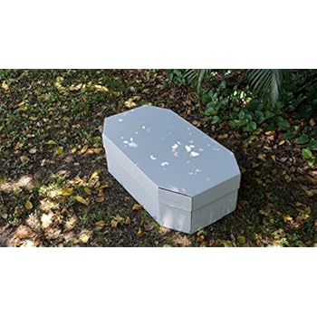 Amazon.com : Pet Coffin (Large) : Pet Supplies