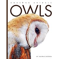 Amazing Animals: Brown Bears: Riggs, Kate: 9781628320879: Amazon.com: Books