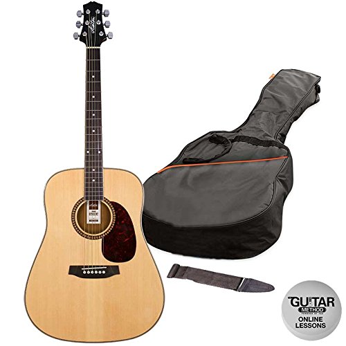 Ashton Spd25ceq Nt Acoustic Guitar: Amazon.in: Musical Instruments
