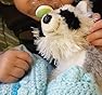 Amazon.com: Wild Life Artist Raccoon Super Soft Plush Stuffed Animal ...