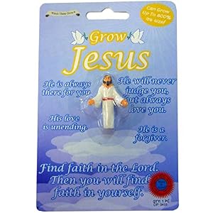 Grow Your Own Jesus: Amazon.co.uk: Toys & Games
