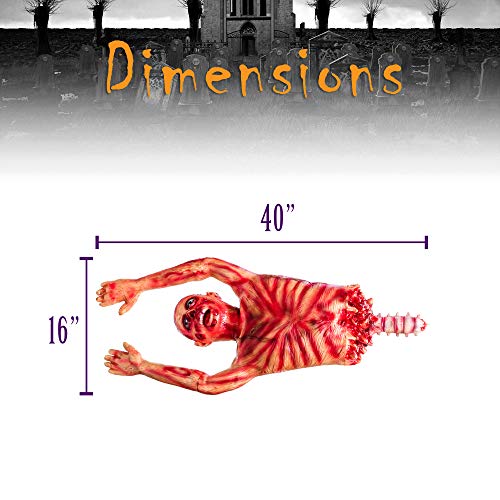 Halloween Haunters Life-Size Hanging Skinned Human Zombie - Want It All