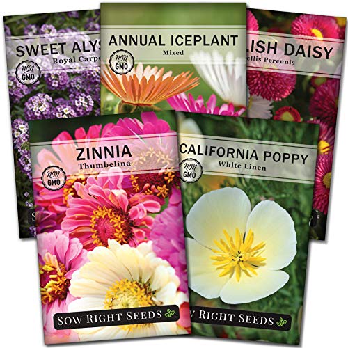 Sow Right Seeds - Dwarf Flower Seed Collection for Planting ...