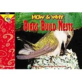 Birds and Their Nests (Animal Homes): Linda Tagliaferro: 9780736851237 ...