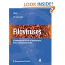 Filoviruses: A Compendium of 40 Years of Epidemiological, Clinical, and ...