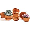 Amazon.com: Small Shallow Terracotta Pot for Succulent - 6 Pcs Clay ...