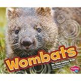 Wombat Stew: Marcia K. Vaughan, Pamela Lofts: 9780382092114: Amazon.com ...