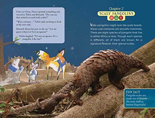 The Nocturnals Explore Unique Adaptations of Nighttime Animals ...